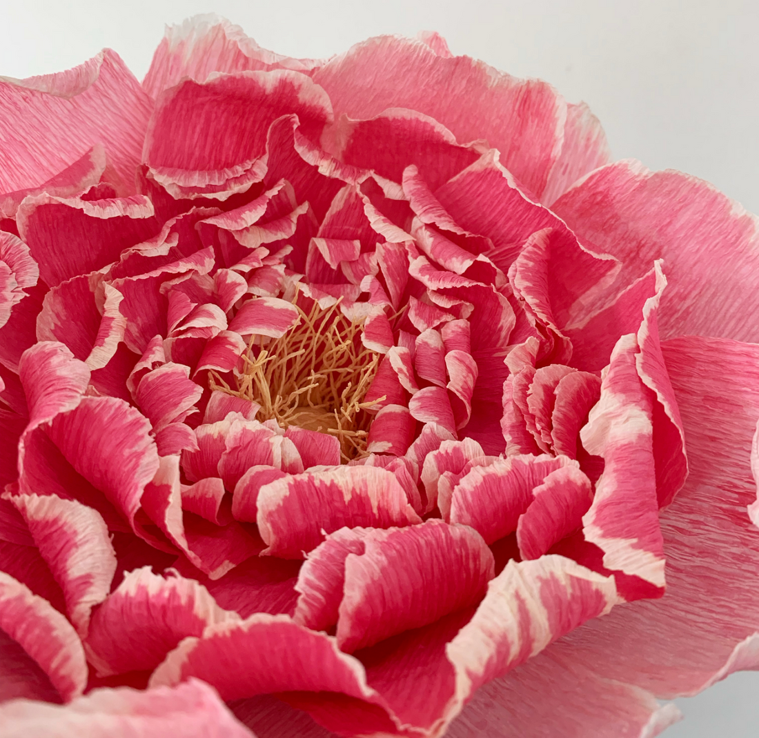 Cesca Molly Flowers | Display & Paper Flower Artist | Surrey, UK